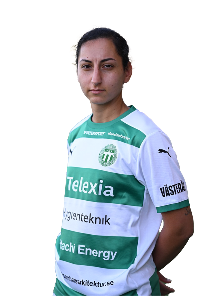 Truppen - VSK Fotboll